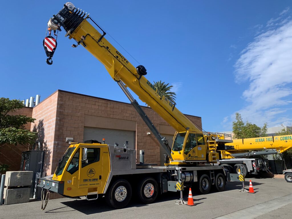 Senna Tree Company, LLC - Senna Tree Crane Rental - Los Angeles - Senna ...